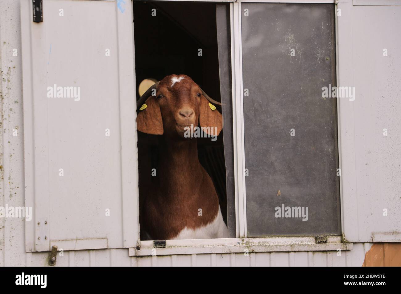 Bilder aus Karben in Hessen Stock Photo - Alamy