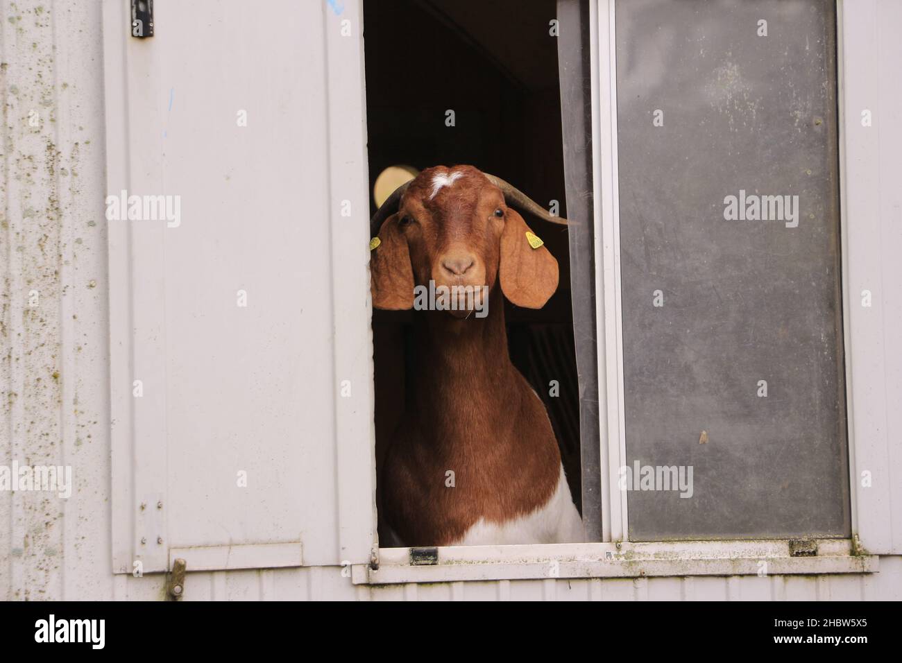 Bilder aus Karben in Hessen Stock Photo - Alamy