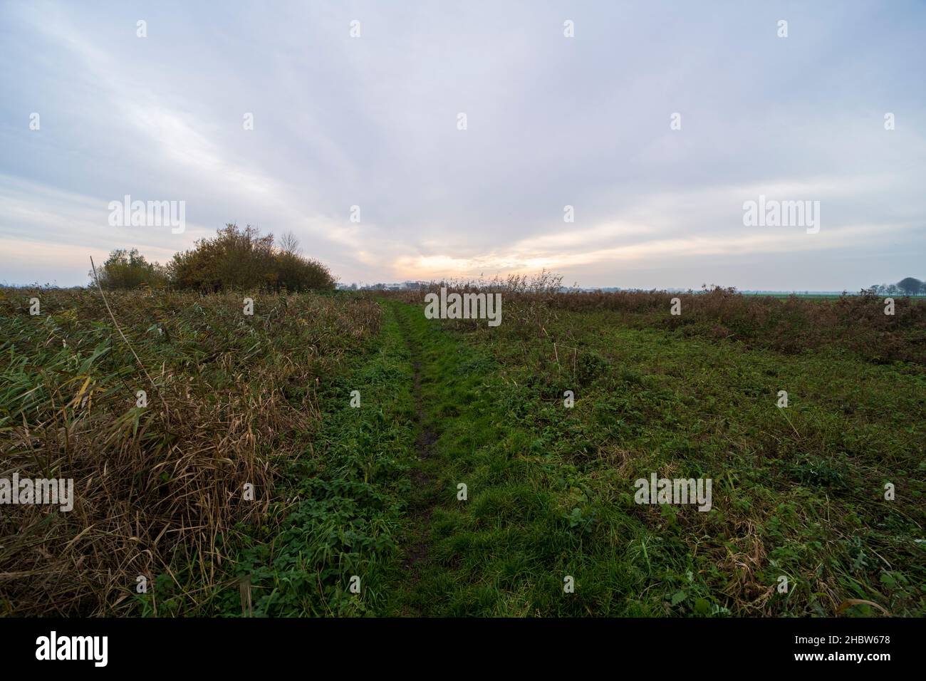 Utrecht landscape hi-res stock photography and images - Alamy