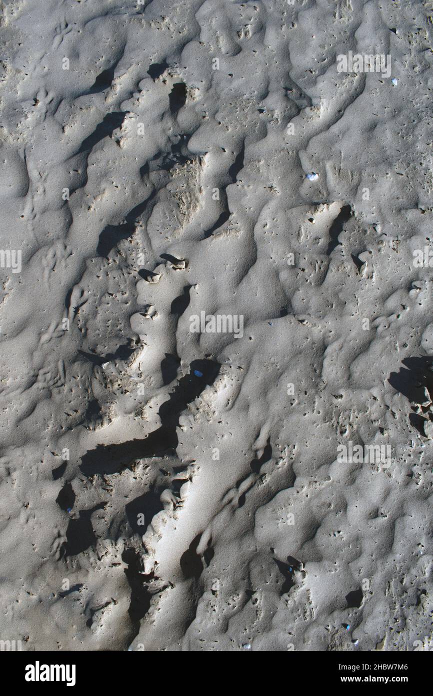 Shadow in the sand hi-res stock photography and images - Alamy