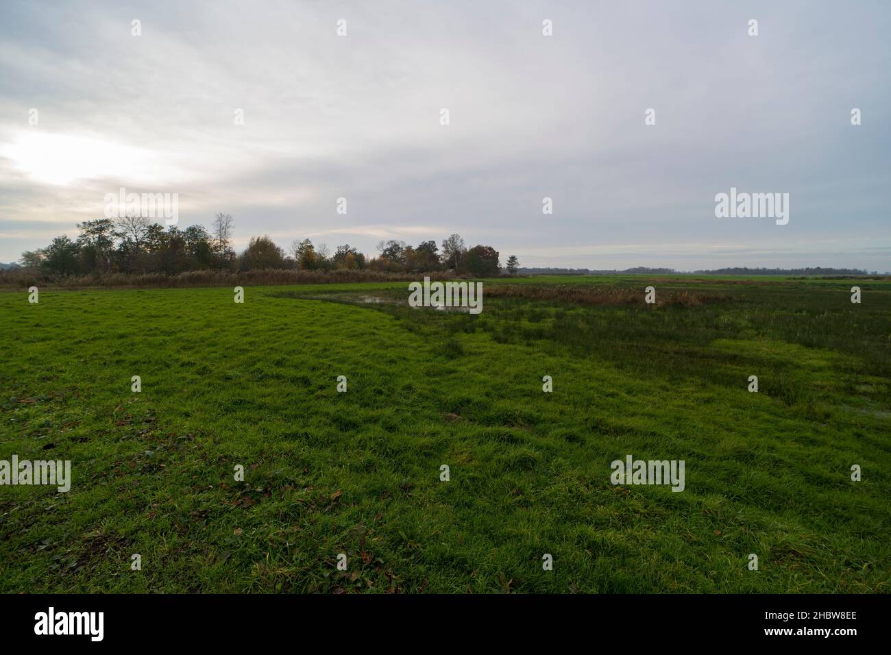Dutch field hi-res stock photography and images - Alamy