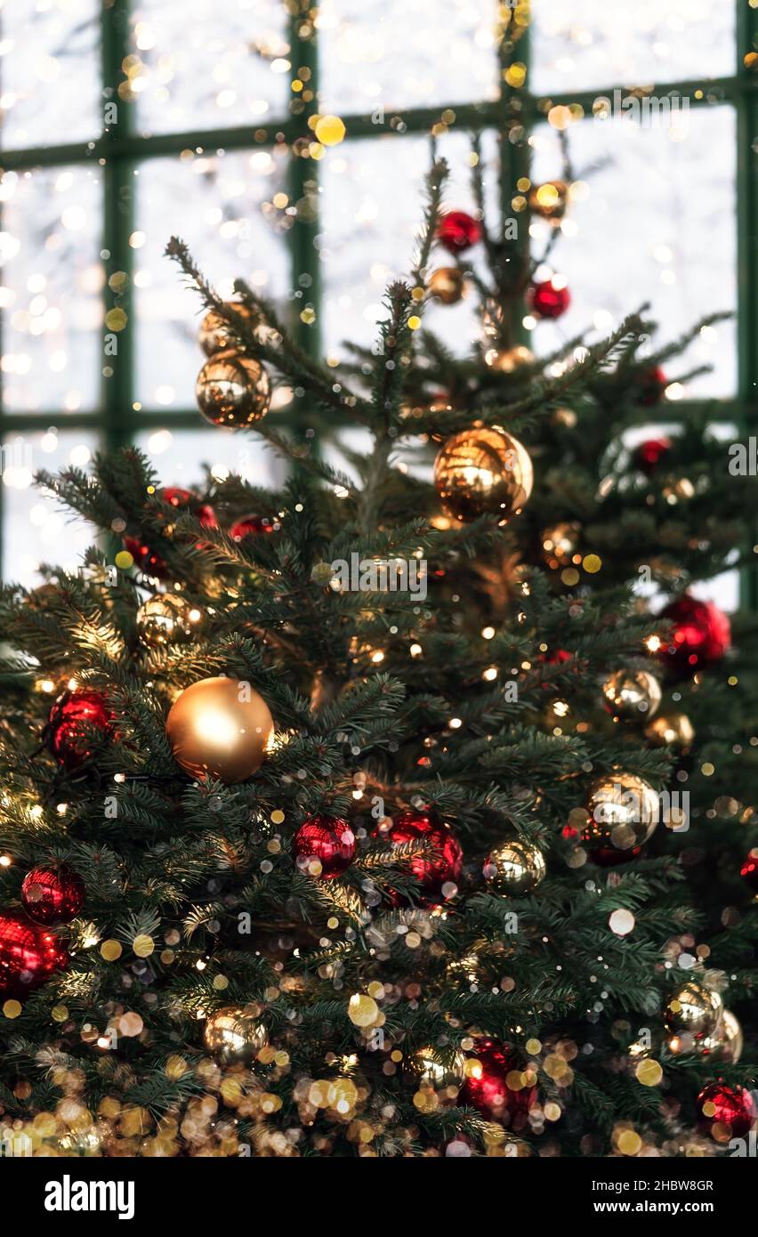 Fair tree hi-res stock photography and images - Alamy