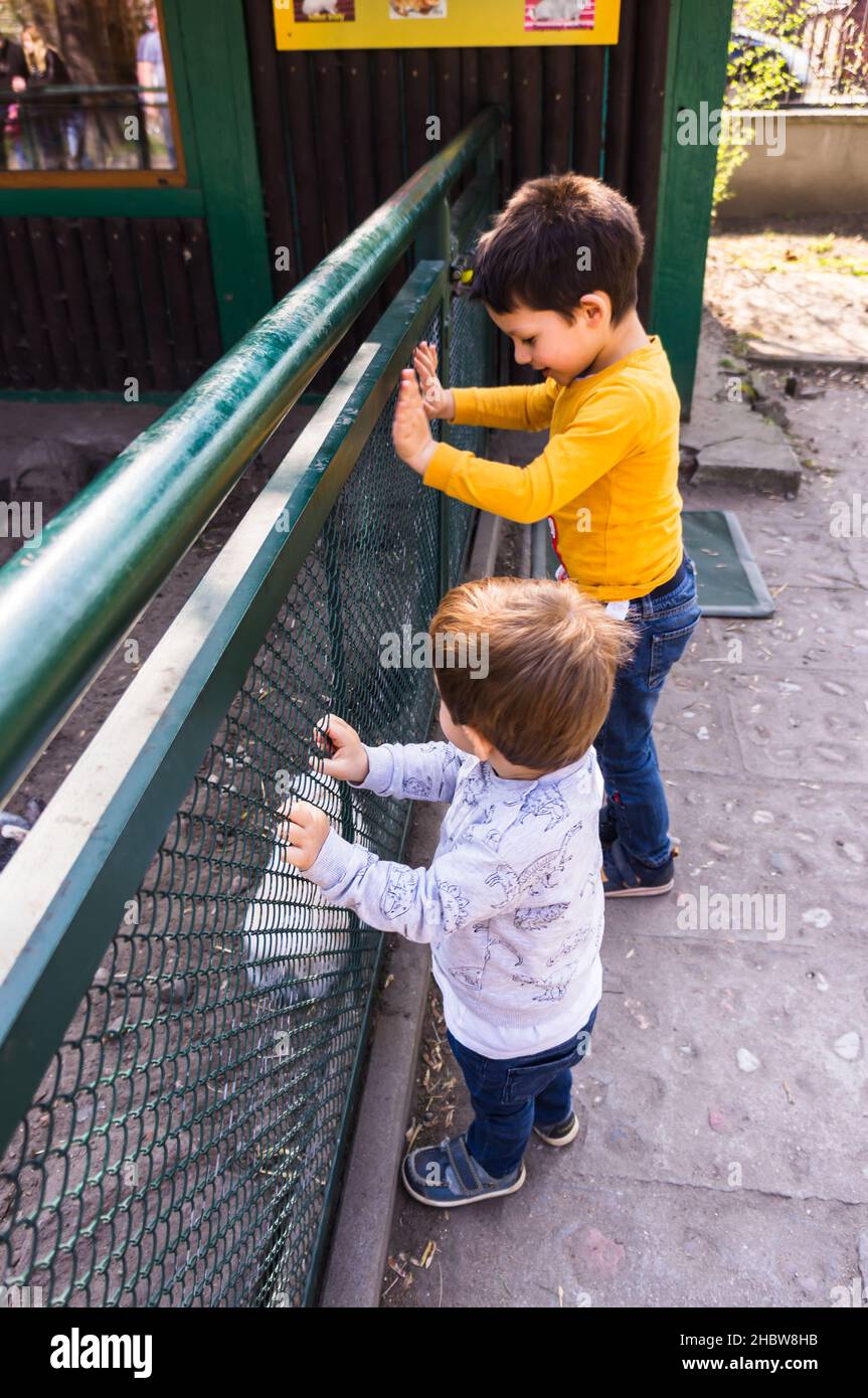 Smiling boys behind fence hi-res stock photography and images - Alamy