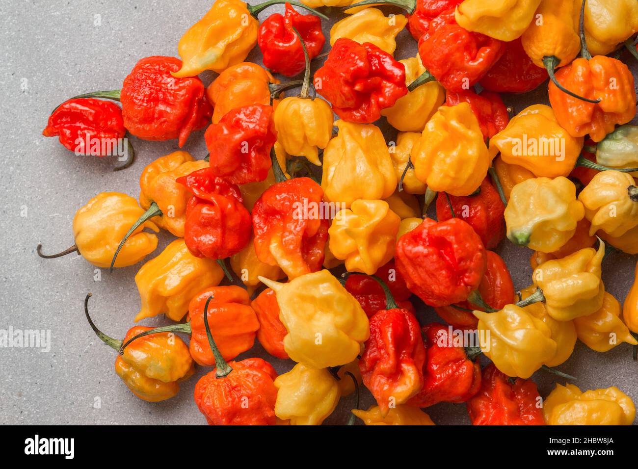 Many pods of the world's hottest red and yellow California Reaper ...