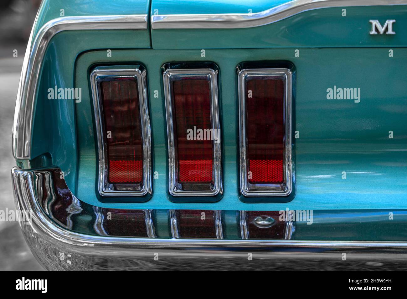 Shelby Mustang Rear View