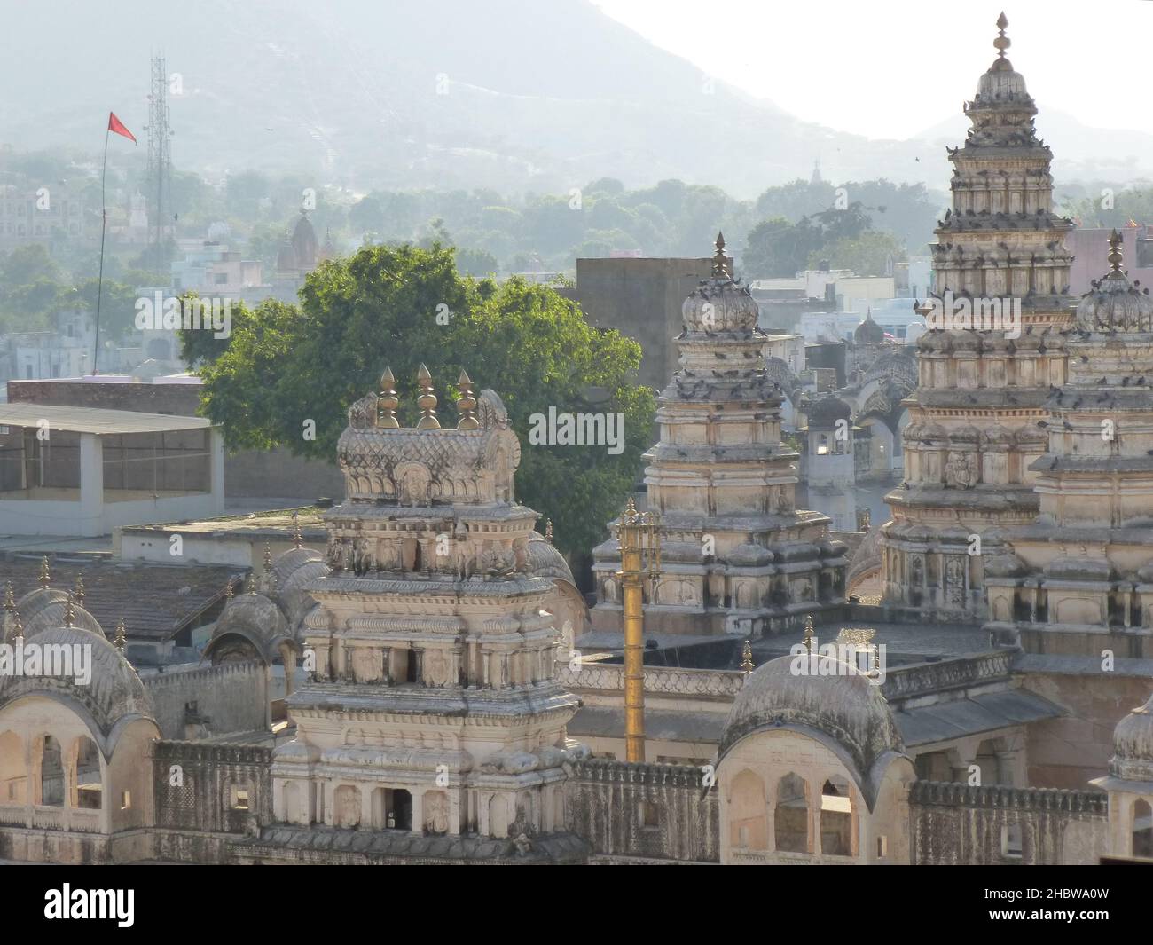 View of the old Rangji temple in Pushkar Stock Photo - Alamy