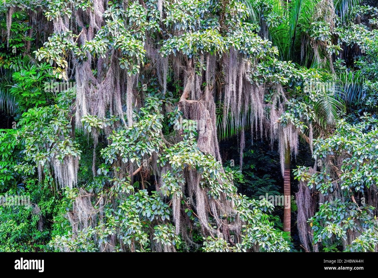 Hanabanilla lake cuba hi-res stock photography and images - Alamy