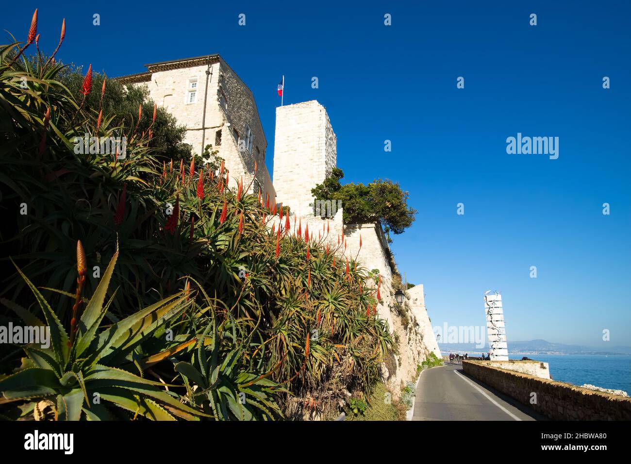 Aloe Museum High Resolution Stock Photography and Images - Alamy