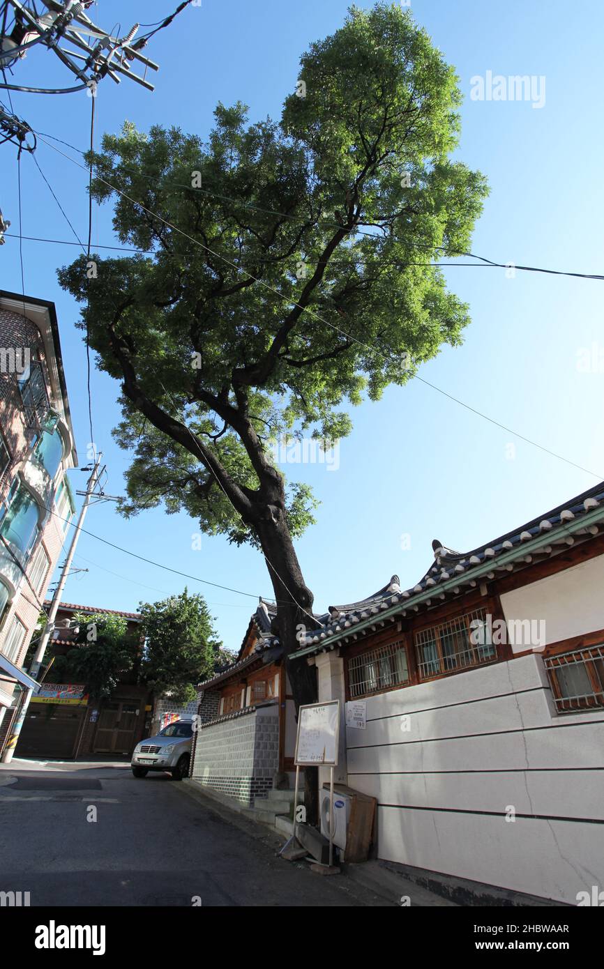 Bukchon Hanok Village in Seoul, South Korean, with traditionally built ...