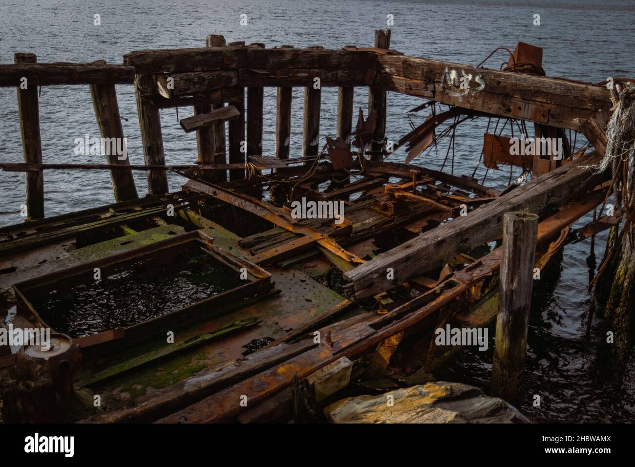 The long forgotten and abandoned SS Daisy, a trawler for the British ...
