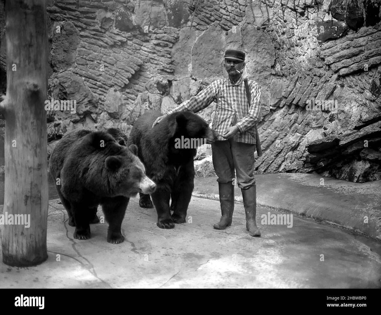 Bears grotto hi-res stock photography and images - Alamy