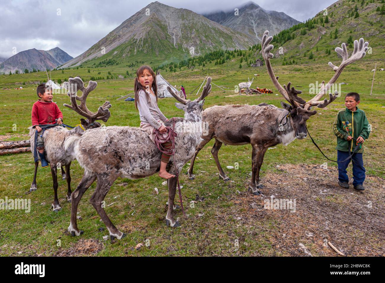 Turkic community of Semi Nomadic reindeer herders living in the ...