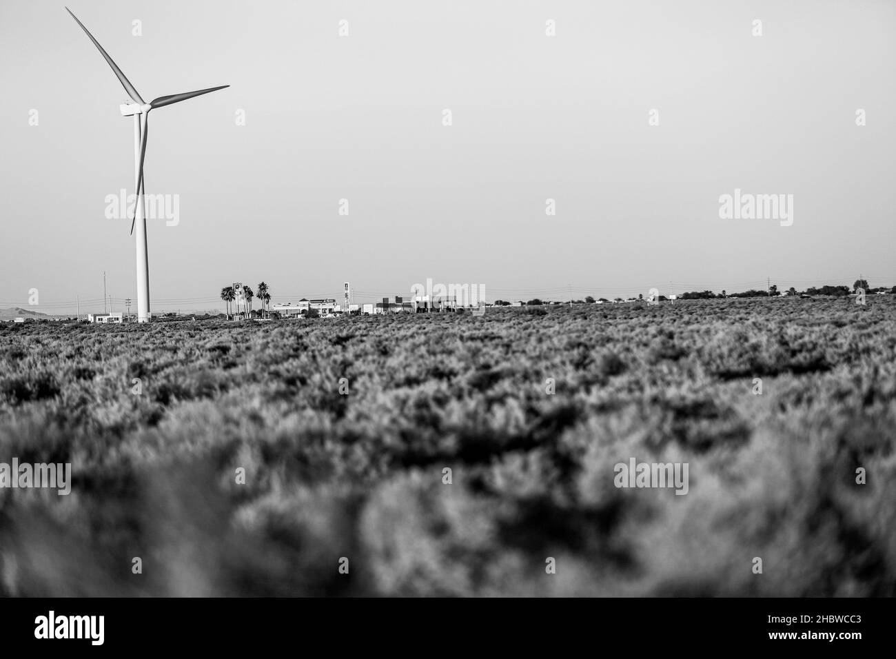 wind power generator in a desert valley in Puerto Peñasco, Mexico ...