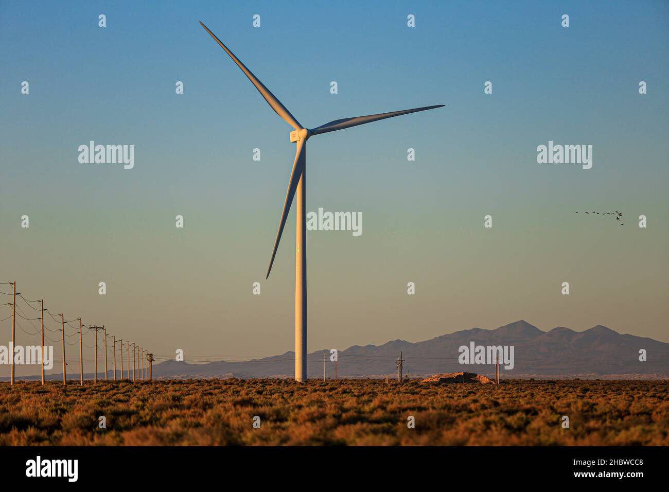 wind power generator in a desert valley in Puerto Peñasco, Mexico ...