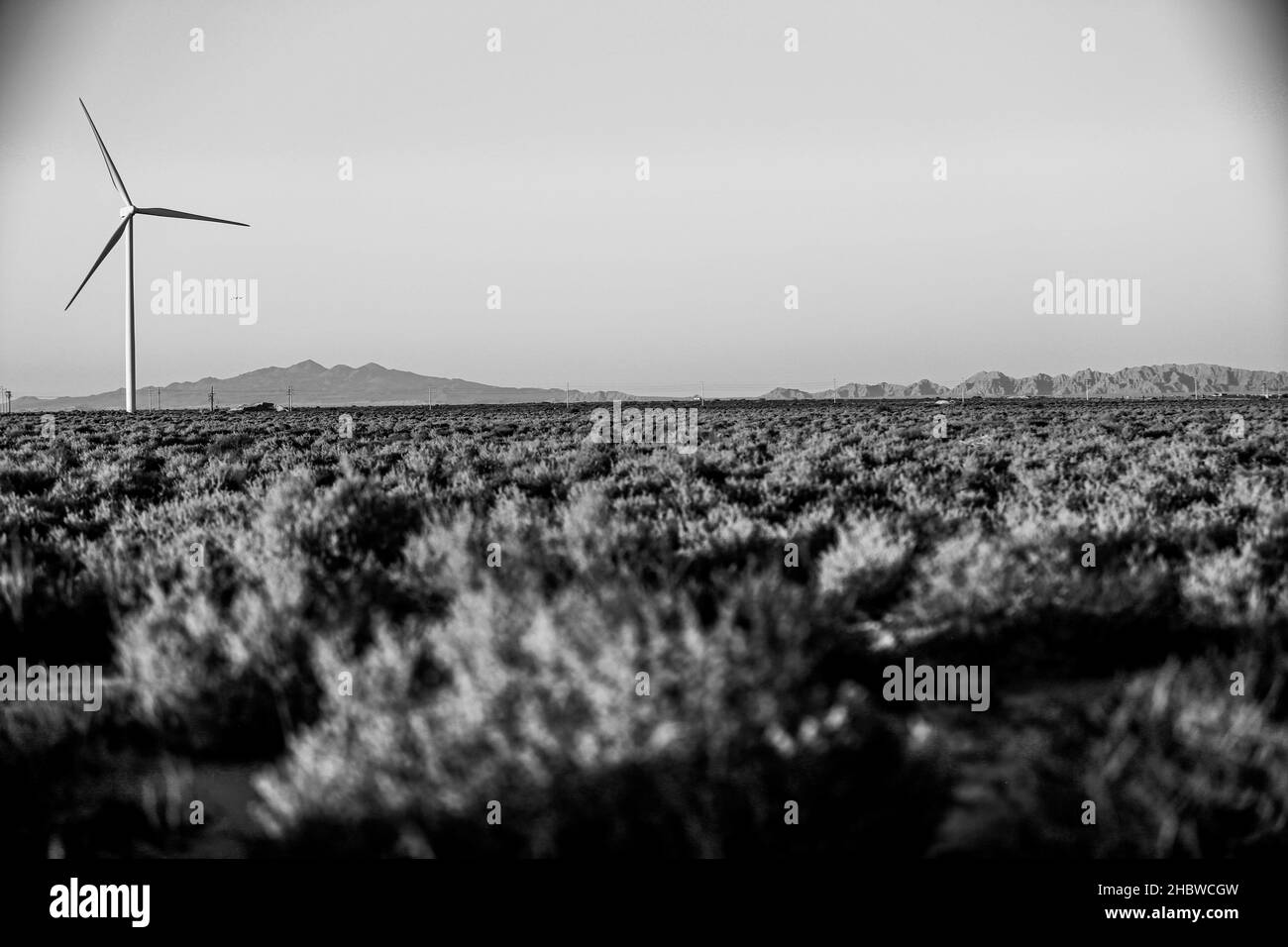 wind power generator in a desert valley in Puerto Peñasco, Mexico ...