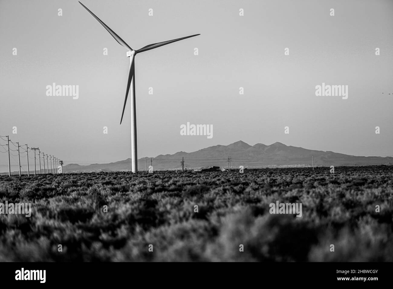 wind power generator in a desert valley in Puerto Peñasco, Mexico ...