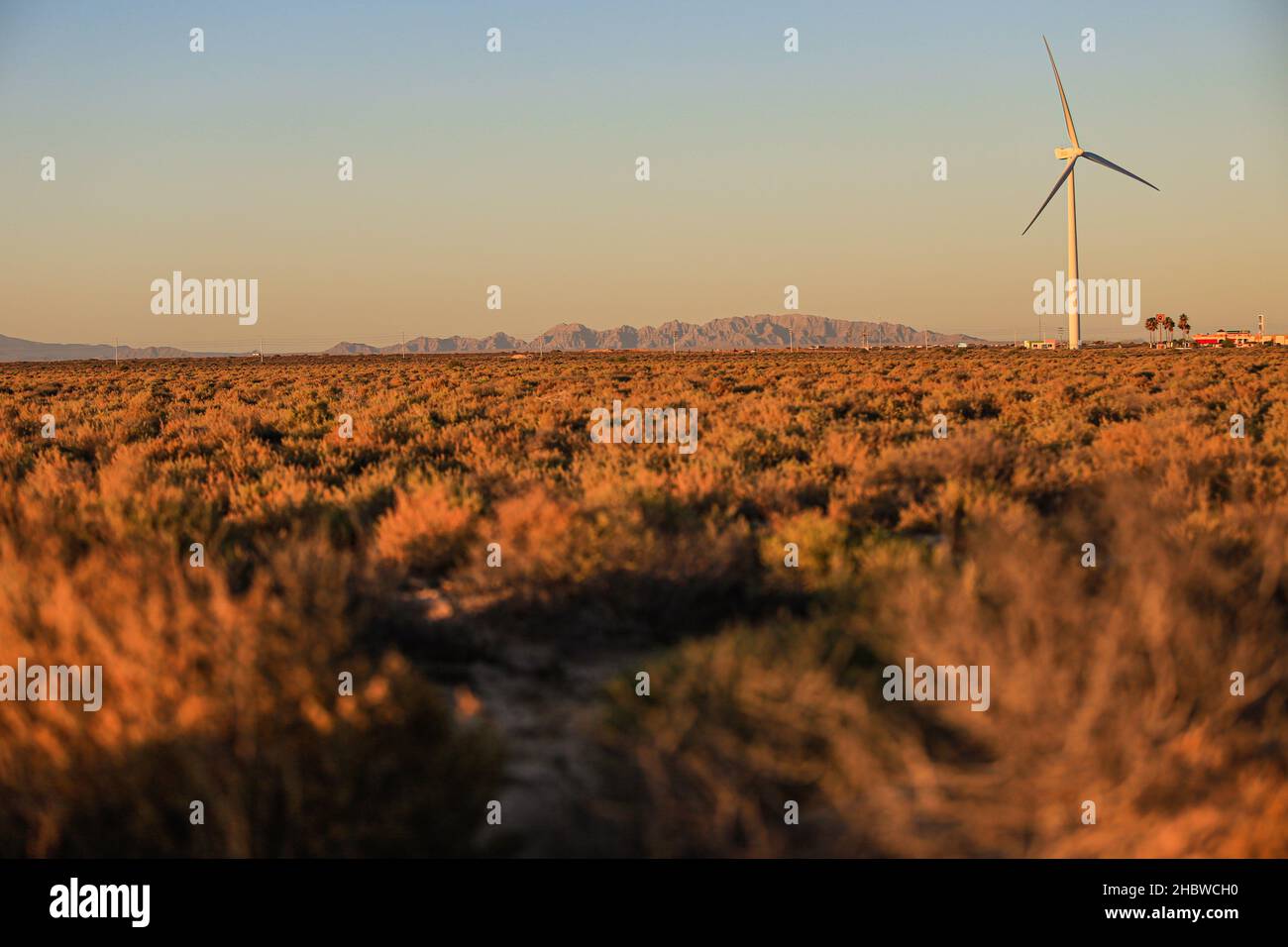 wind power generator in a desert valley in Puerto Peñasco, Mexico ...