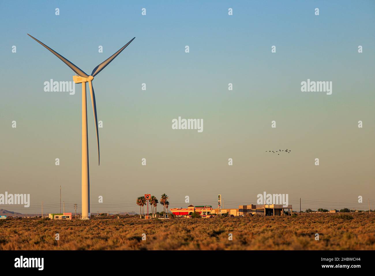 wind power generator in a desert valley in Puerto Peñasco, Mexico ...