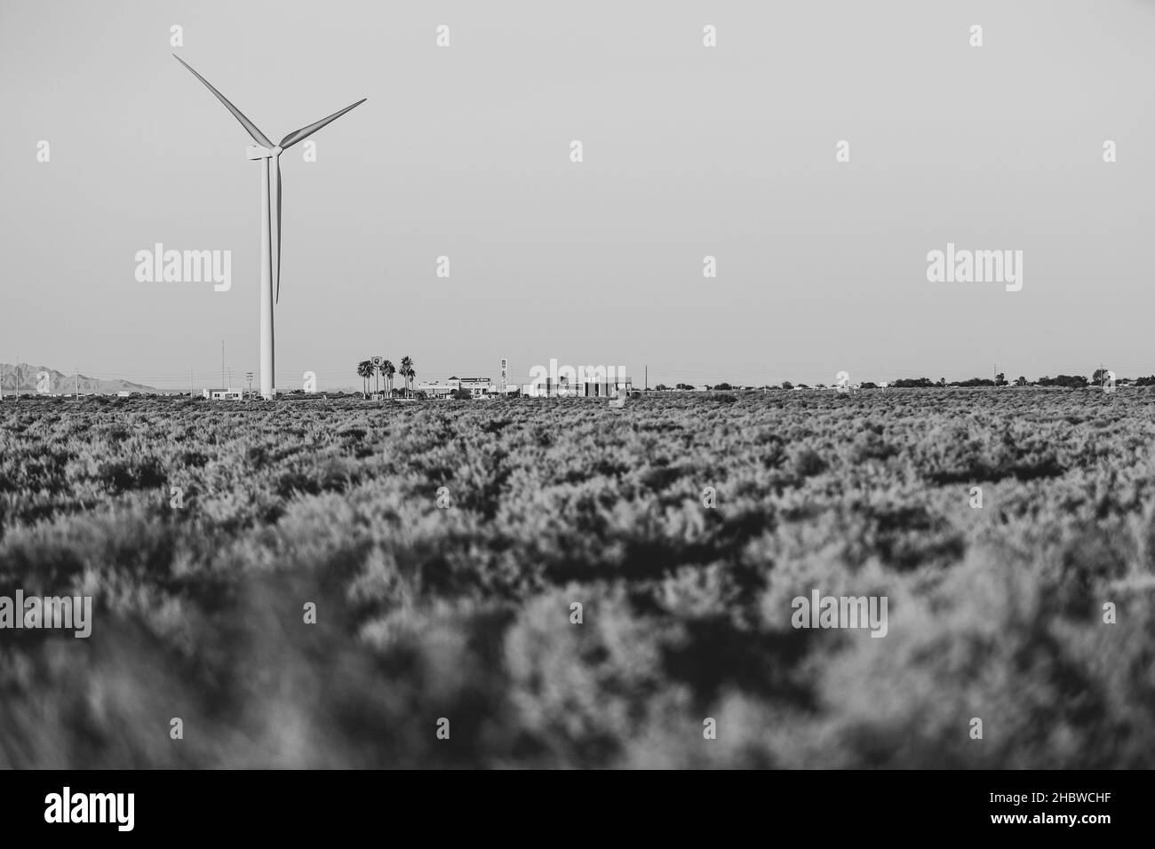 wind power generator in a desert valley in Puerto Peñasco, Mexico ...