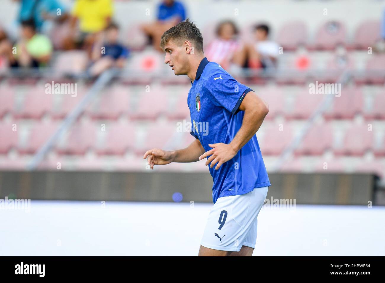 Romeo Menti Stadium, Vicenza, Italy, September 07, 2021, Lorenzo ...