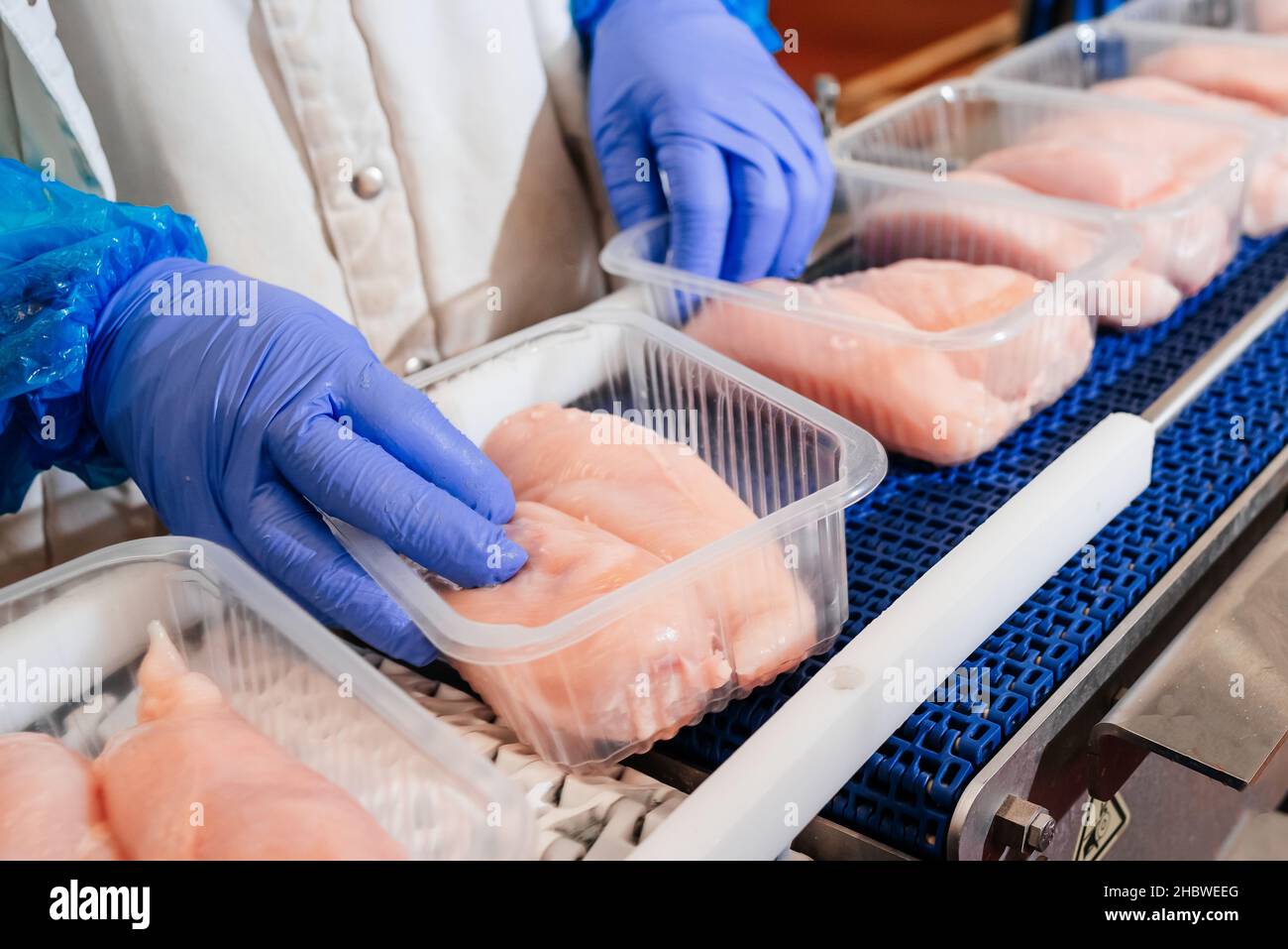 Meat processing,food industry.Packing of meat slices in boxes ,conveyor ...