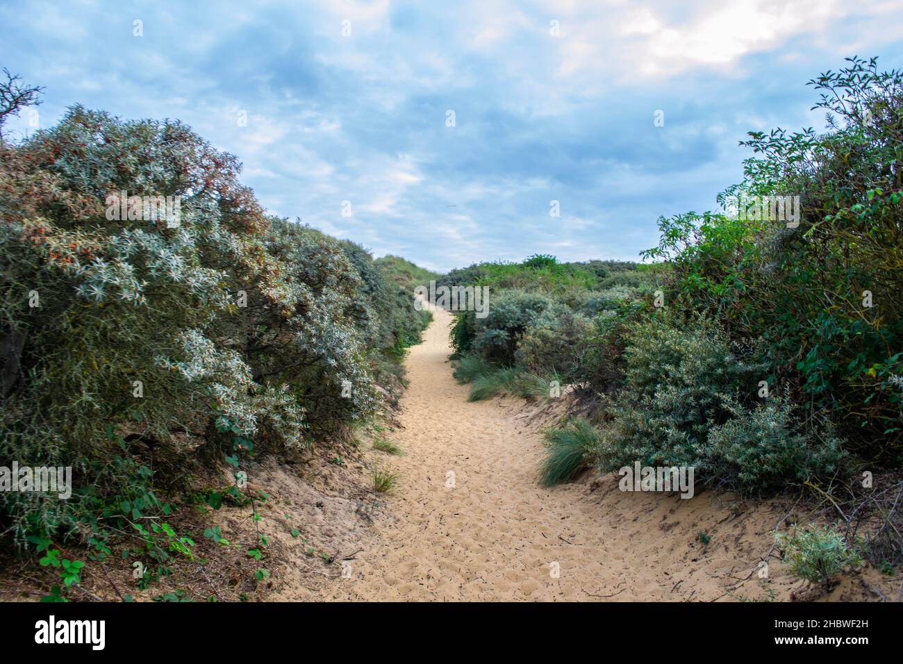 CAMBER SANDS, ENGLAND- 18 September 2021: Sand dunes whilst entering ...