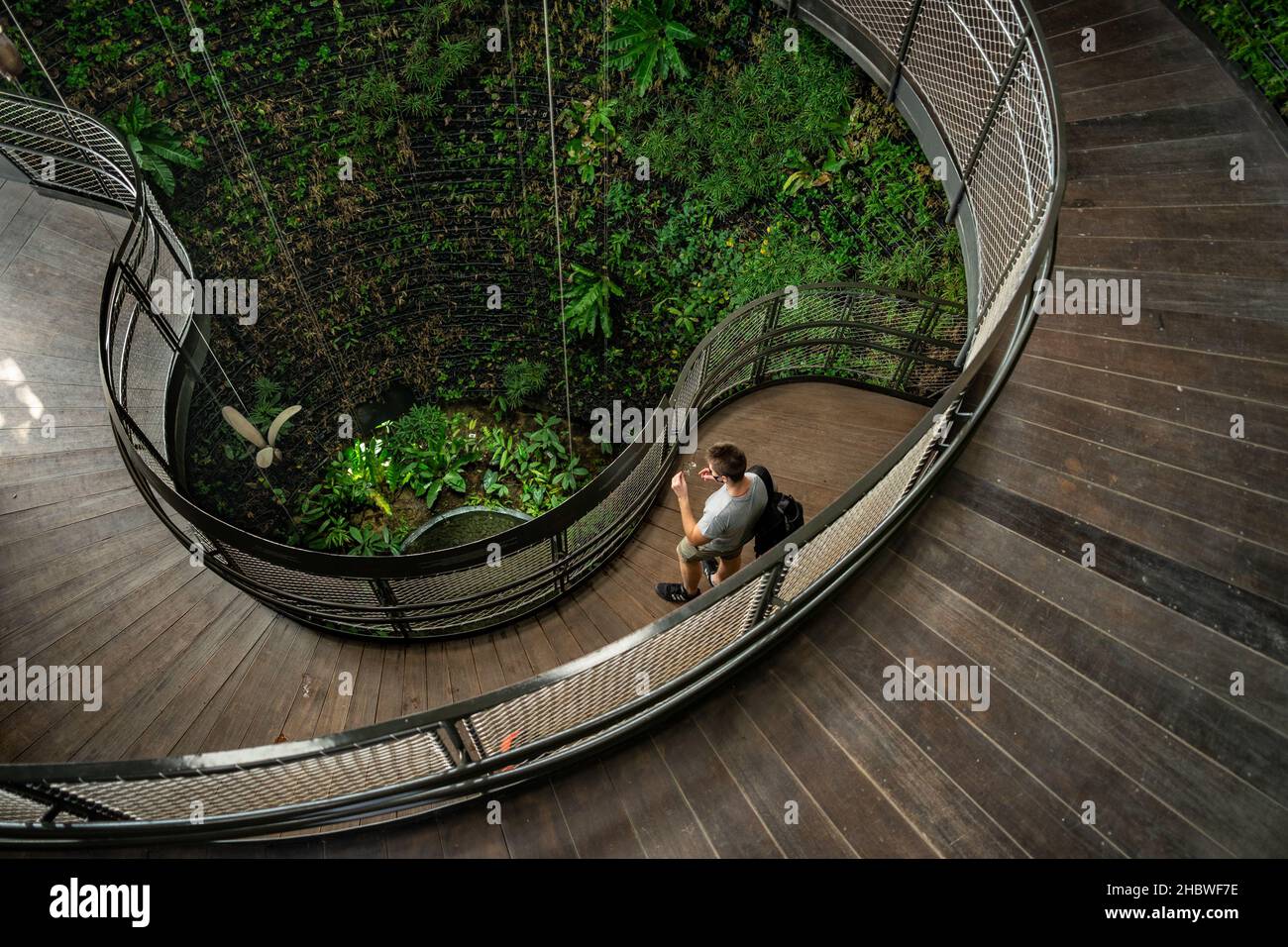 Singapore pavilion interior, sustainable building with wooden bridges ...