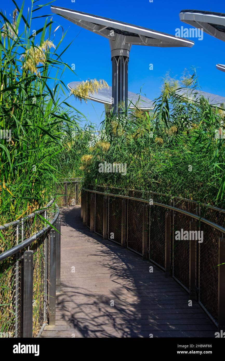 Dubai, UAE - 12.06.2021: Green path with the view of the Terra ...