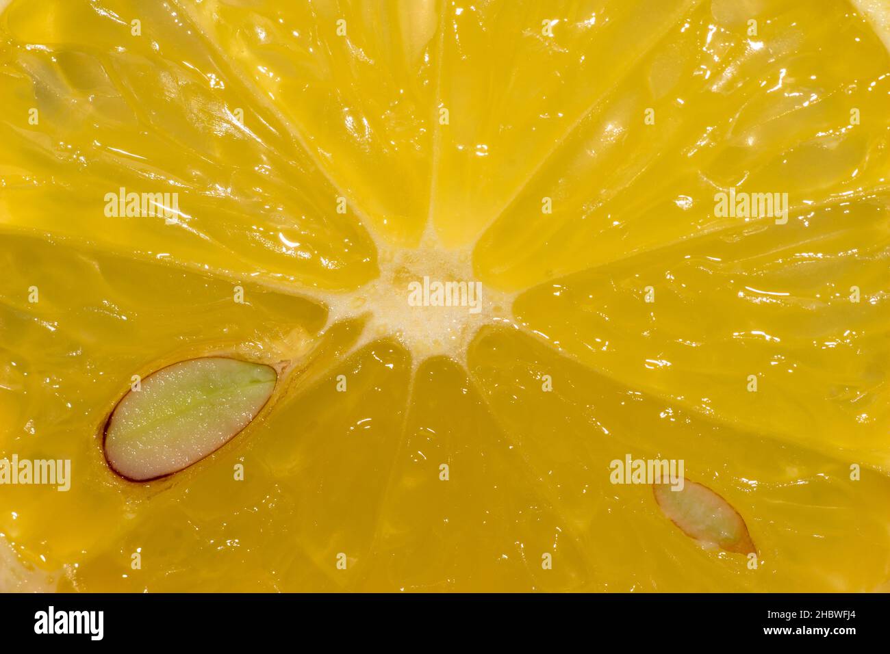 Close up slice of a lemon fruit with a seed Stock Photo - Alamy