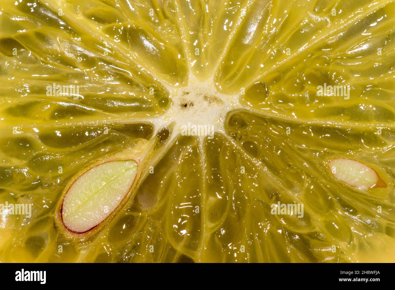 Lemon slice macro slice seed hi-res stock photography and images - Alamy
