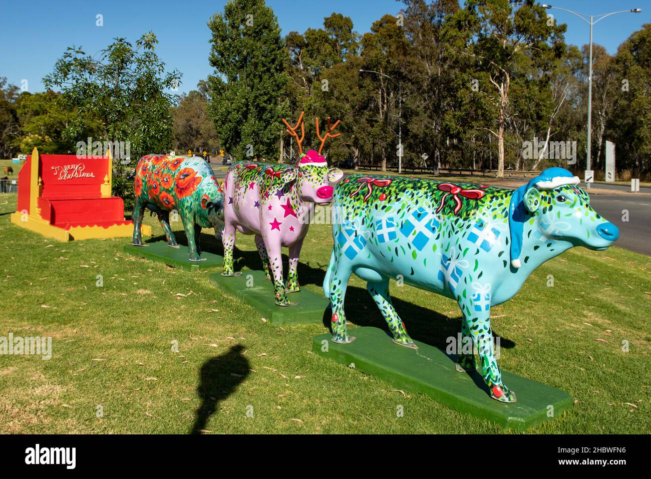 Shepparton painted cows hi-res stock photography and images - Alamy