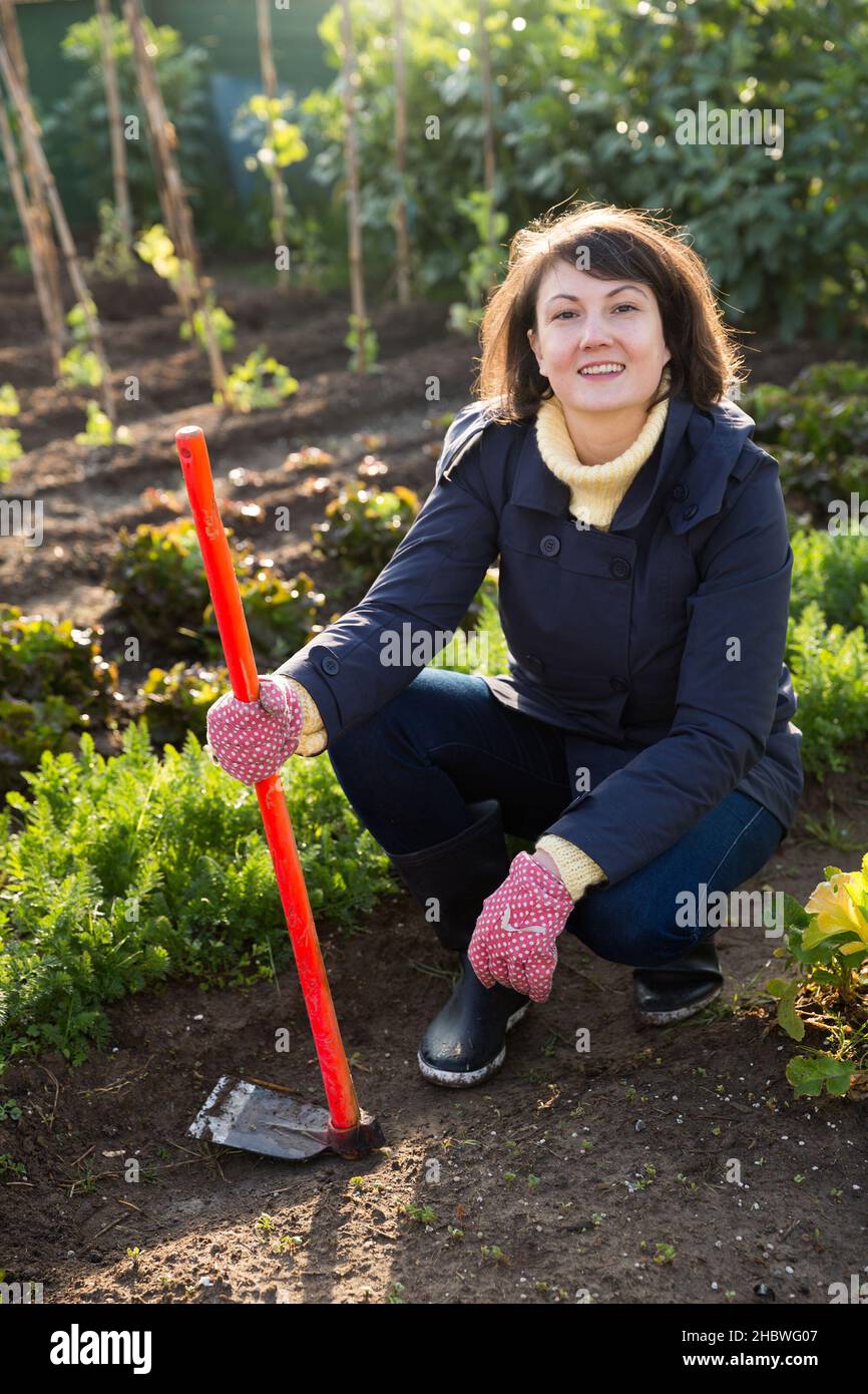 Woman hoeing in garden Stock Photo - Alamy