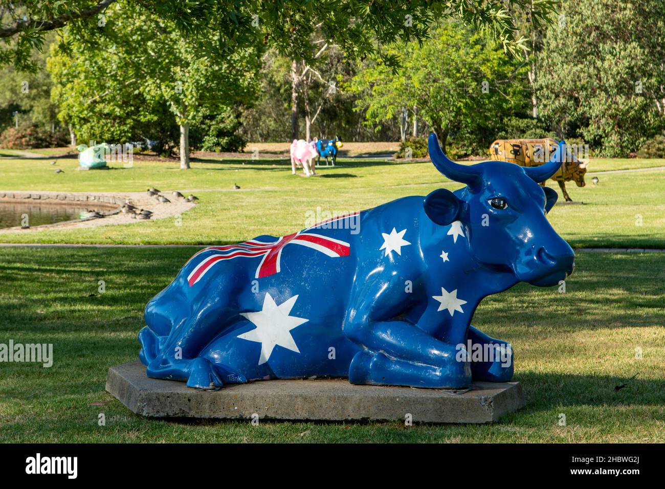 Cows in the Park Art, Shepparton, Victoria, Australia Stock Photo - Alamy