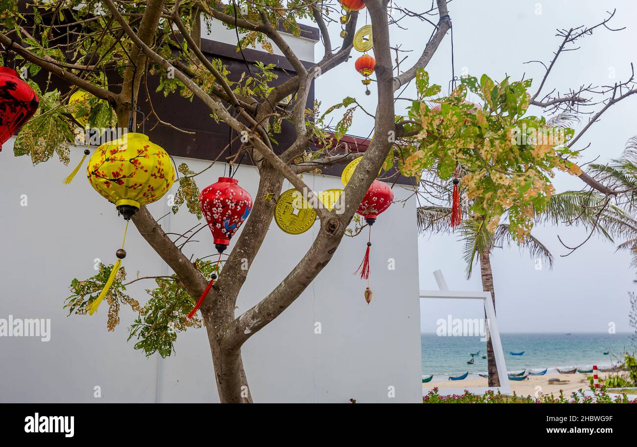 Red & yellow lanterns hanging from a tree overlooking the ocean at tam ...