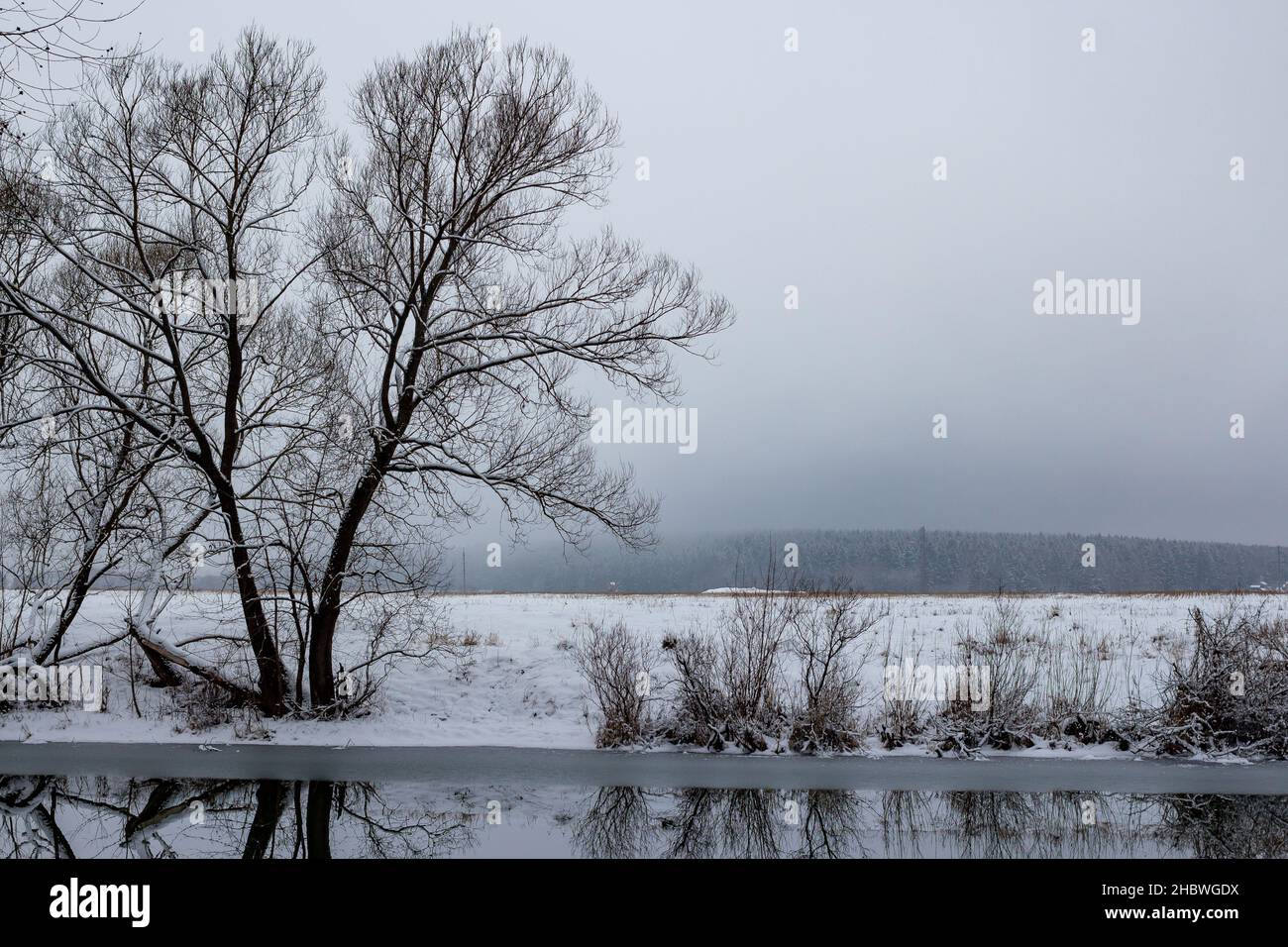 Gray winter weather, landscape with a river, field and forest Stock ...