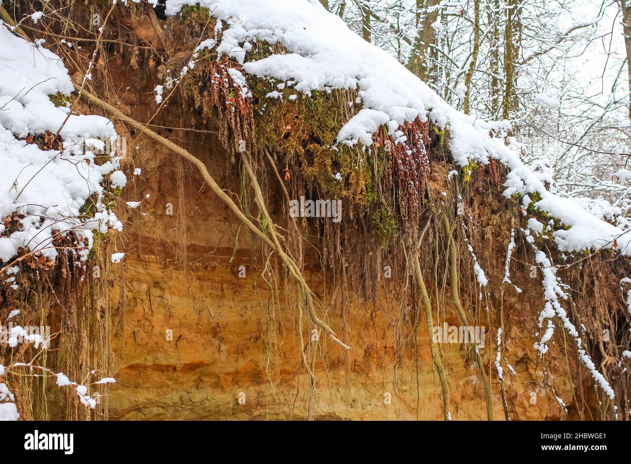 Sand words in geological outcrop Stock Photo - Alamy
