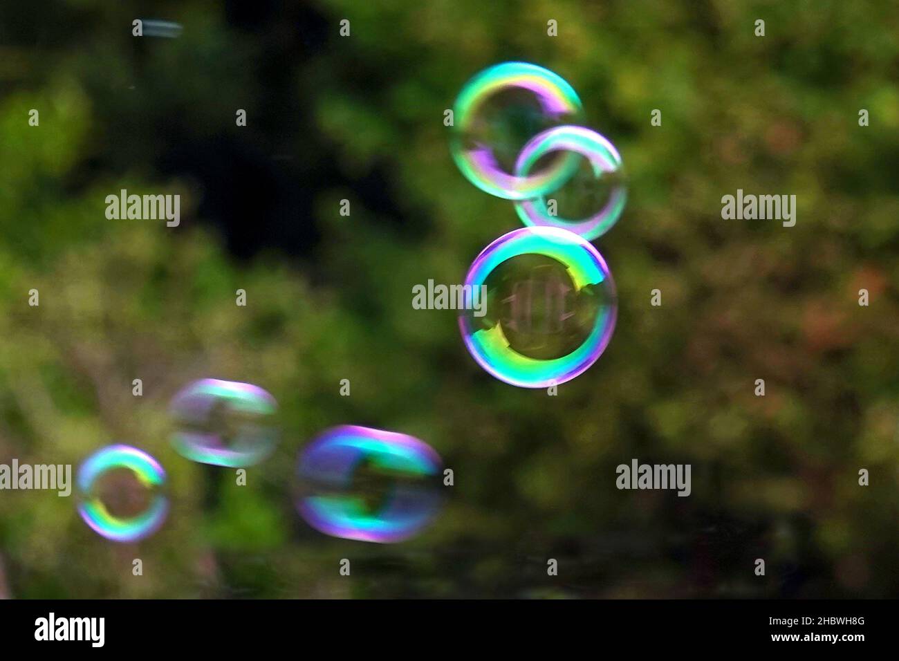 The Bubbles flying in air outdoors Stock Photo - Alamy