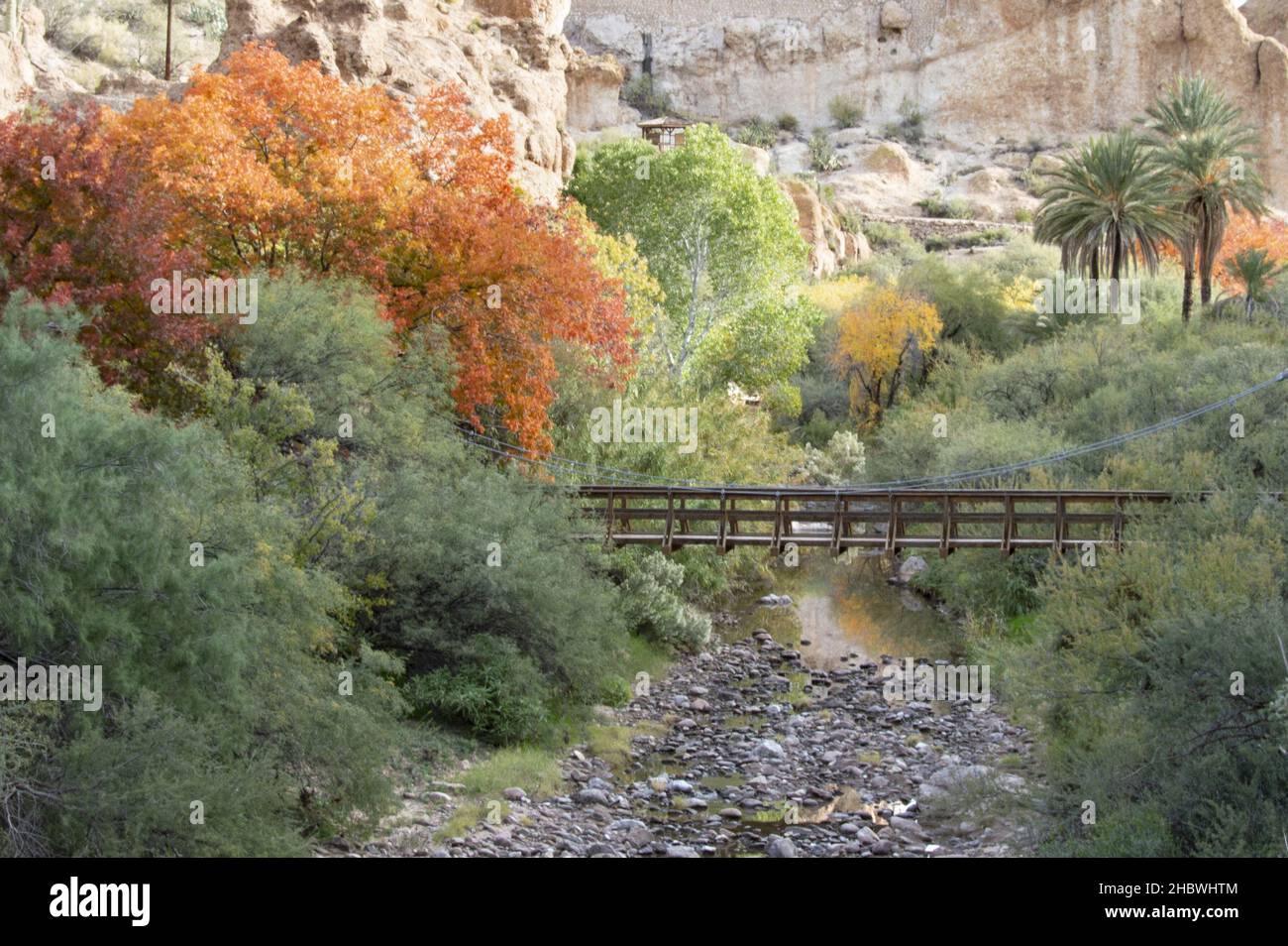 A natural landscape of autumn pistachio trees in Arizona Stock Photo ...