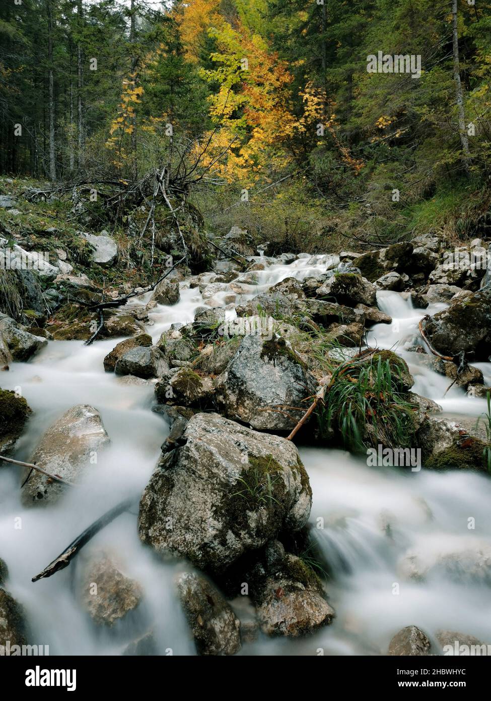 A beautiful long exposure view of the stream flowing through the forest ...