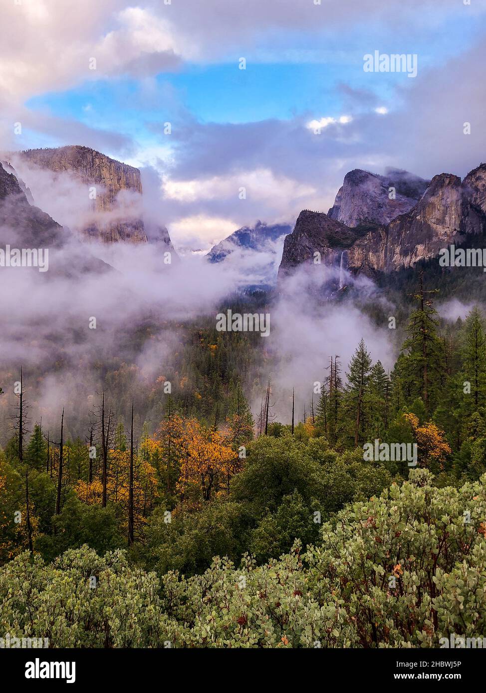 A stunning view of Yosemite Valley in Yosemite National Park in ...