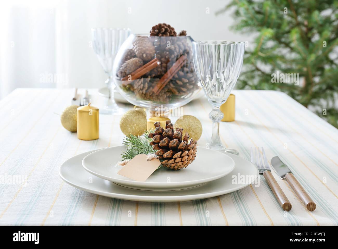 Beautiful table setting with pine cone, blank tag and fir branch ...