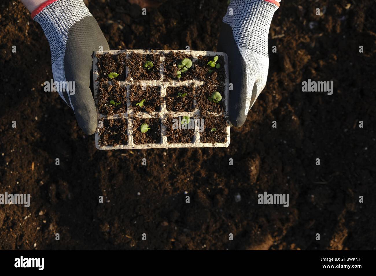 Peat ground hi-res stock photography and images - Alamy