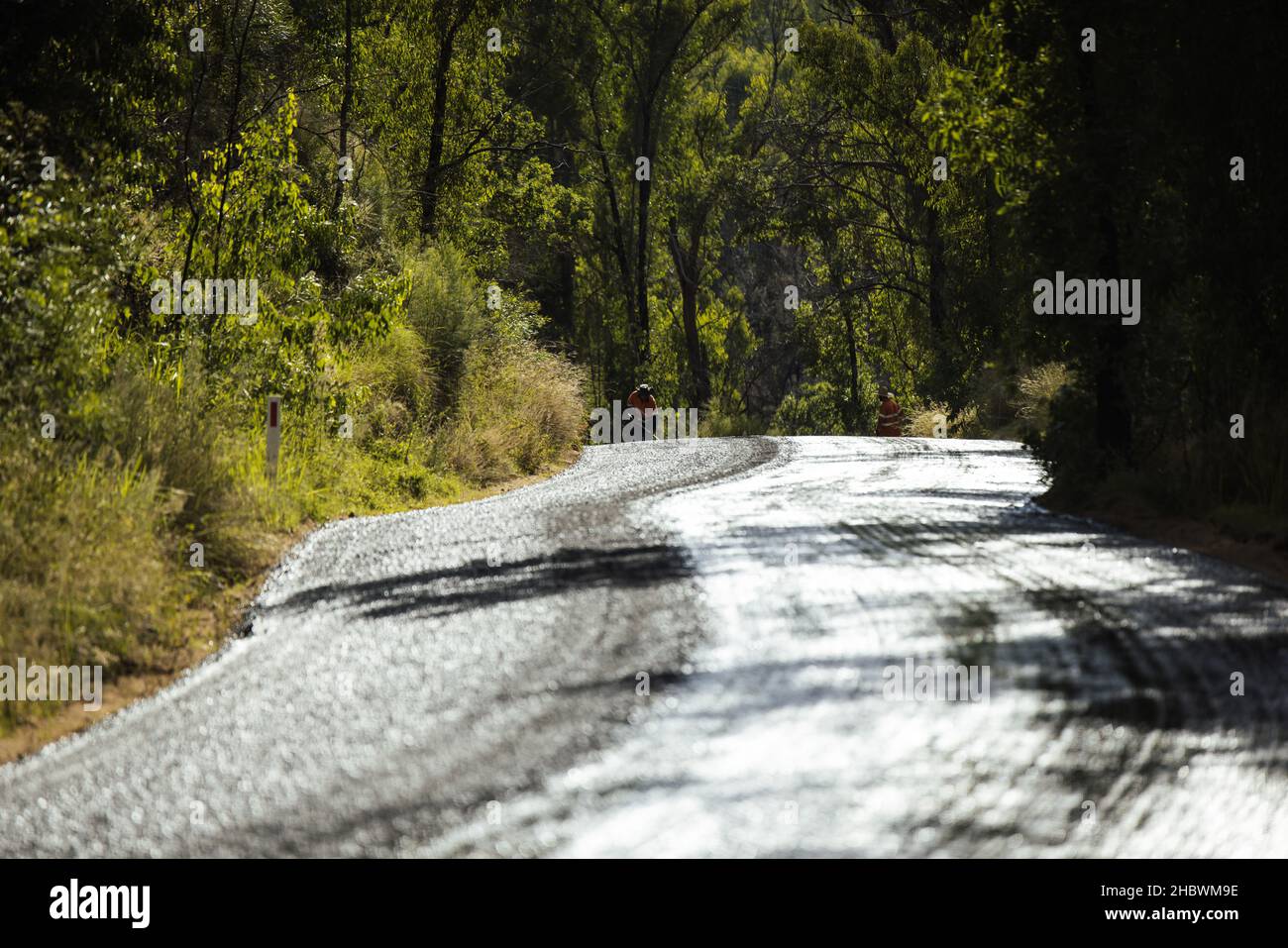 A closeup of a road construction surrounded by trees Stock Photo - Alamy