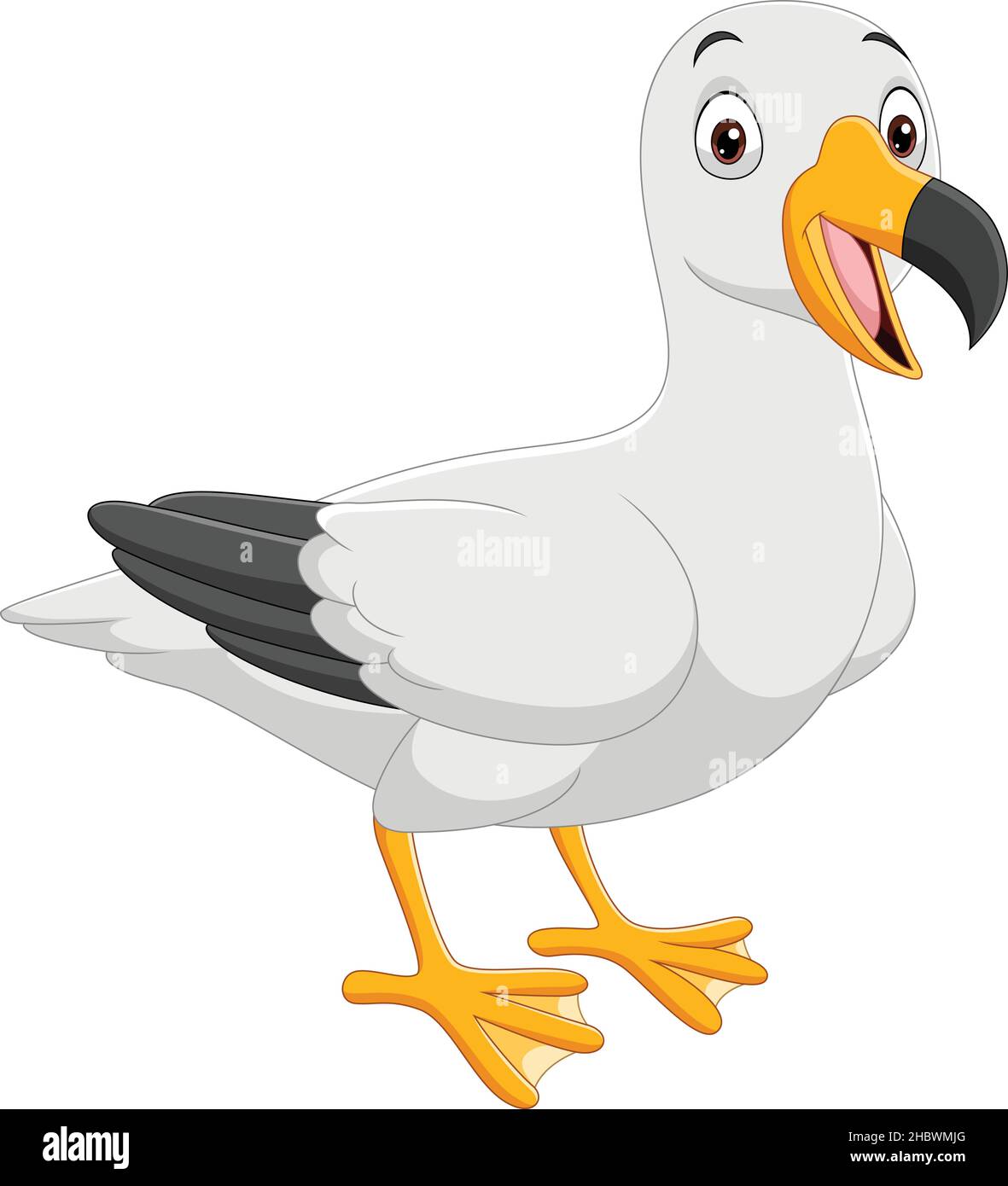 Cartoon funny seagull on white background Stock Vector Image & Art - Alamy