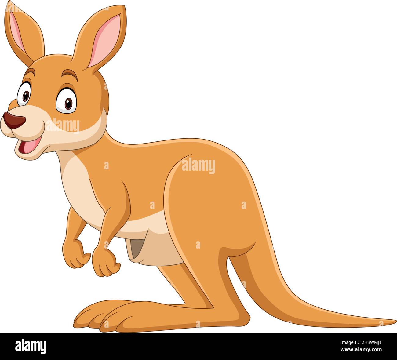 Cartoon cute kangaroo on white background Stock Vector Image & Art - Alamy