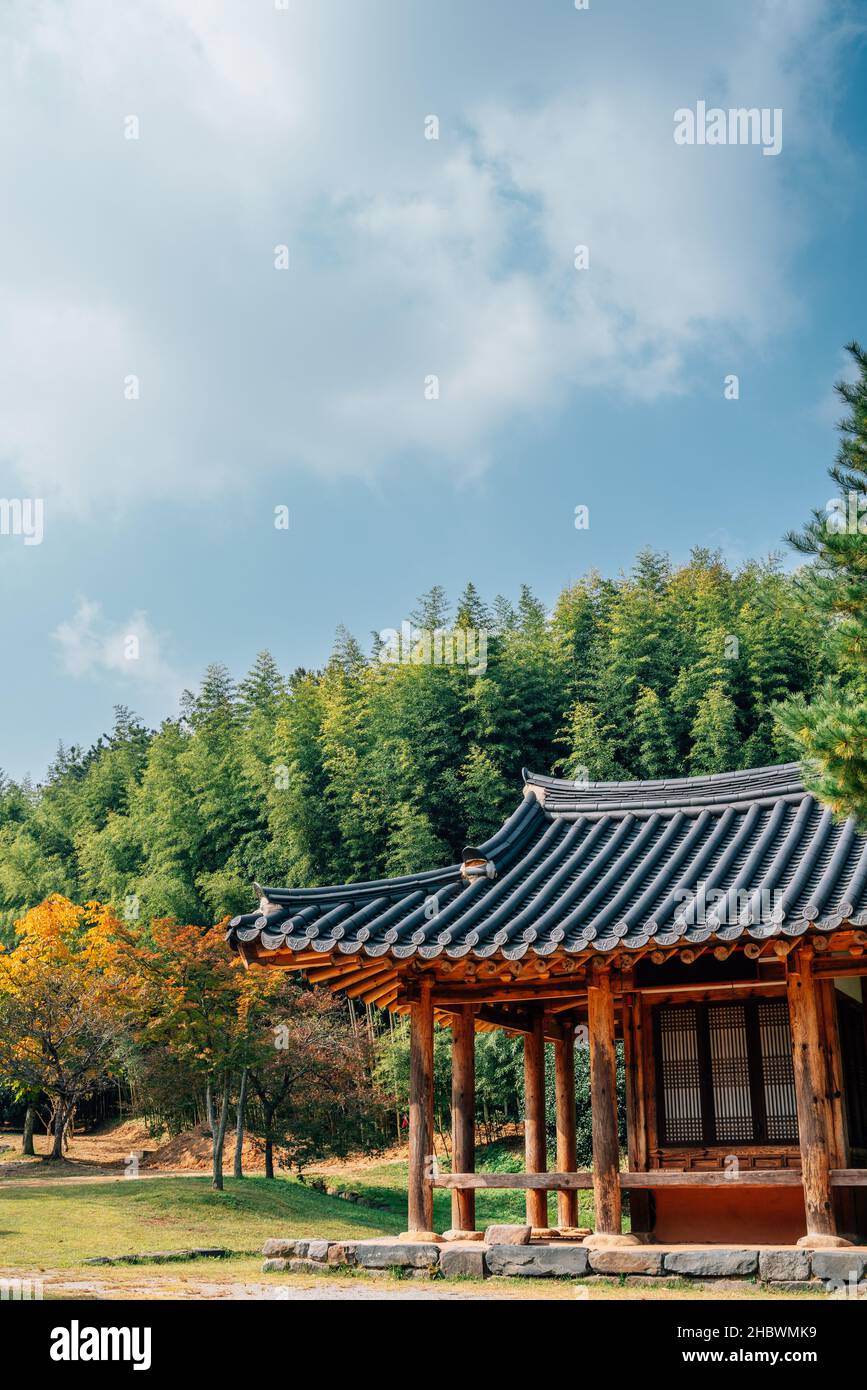 Juknokwon forest hi-res stock photography and images - Alamy