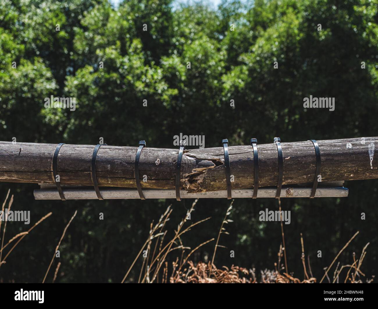A broken log connected to each other with black tape and green trees on ...