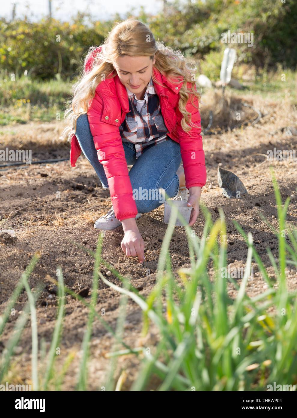Woman planting garden jacket hi-res stock photography and images - Alamy