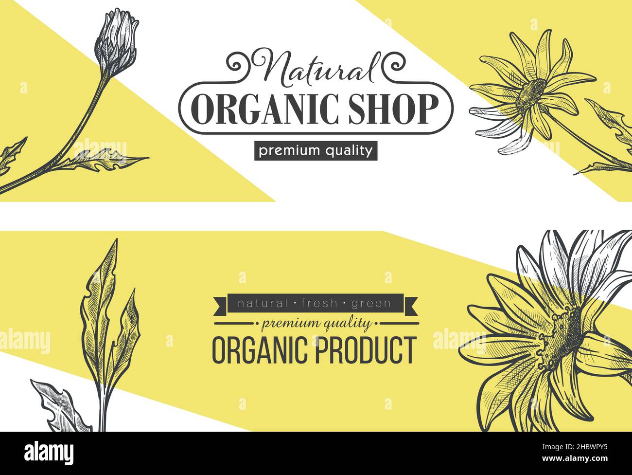 Organic shop advertisement banners, store ads Stock Vector Image & Art ...