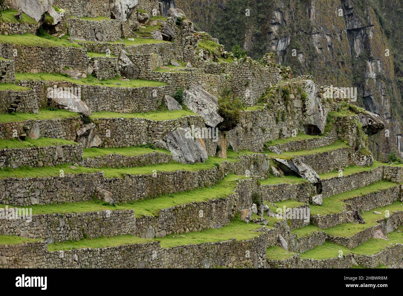Close-up of cascading terraces of Machu Picchu, Peru Stock Photo - Alamy